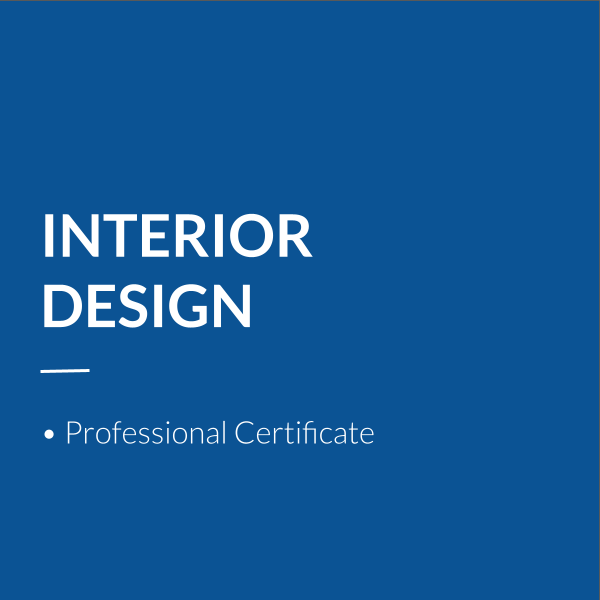 Shop – Blue Pillar Online